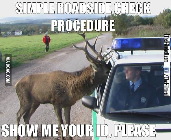 Show me your ID, please - 9GAG