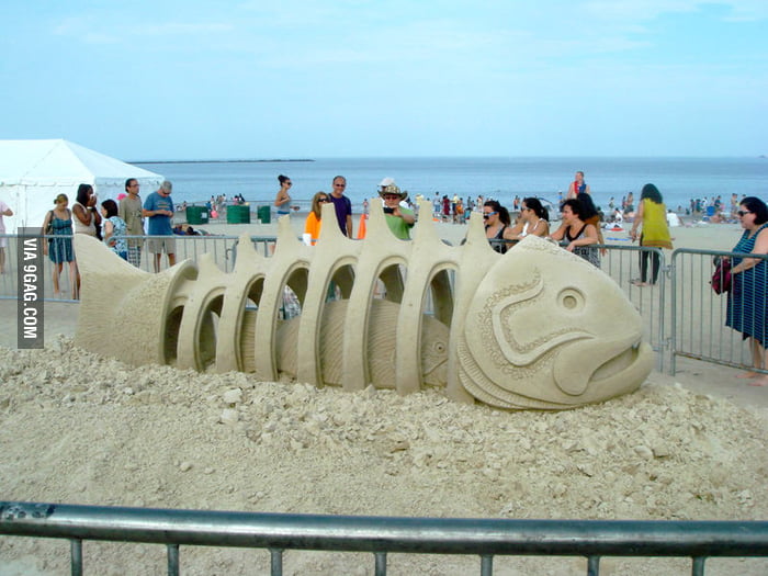 Sand fish - 9GAG