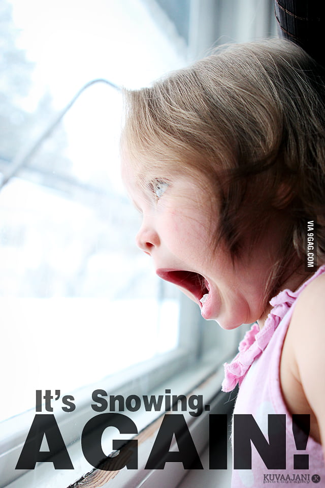 It's snowing. AGAIN! - 9GAG