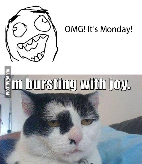 OMG it's Monday!!!! - 9GAG