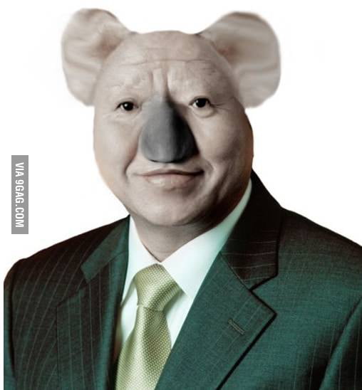 Hello! I Am "Noala"! - 9GAG