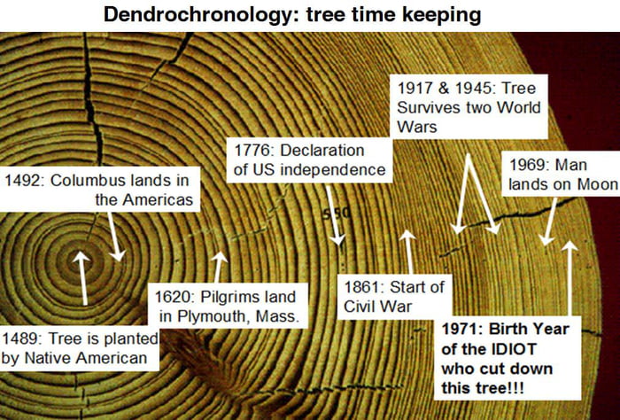 Dendrochronology - 9GAG