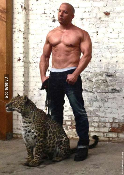 Maybe you are cool, but you will never be Vin Diesel with a leopard ...