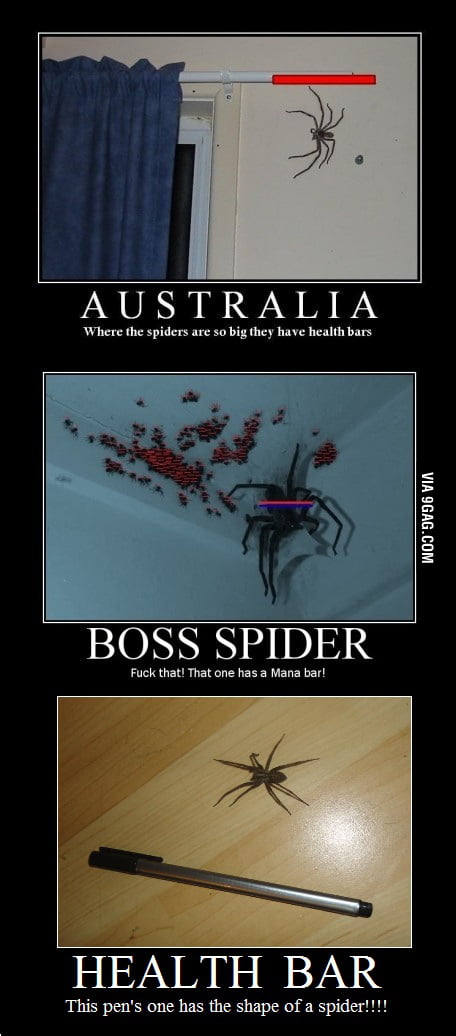 Spiders + Health bars - 9GAG