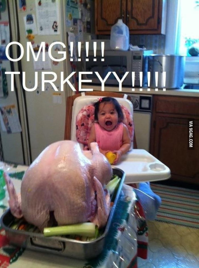OMG!! TURKEY!! - 9GAG