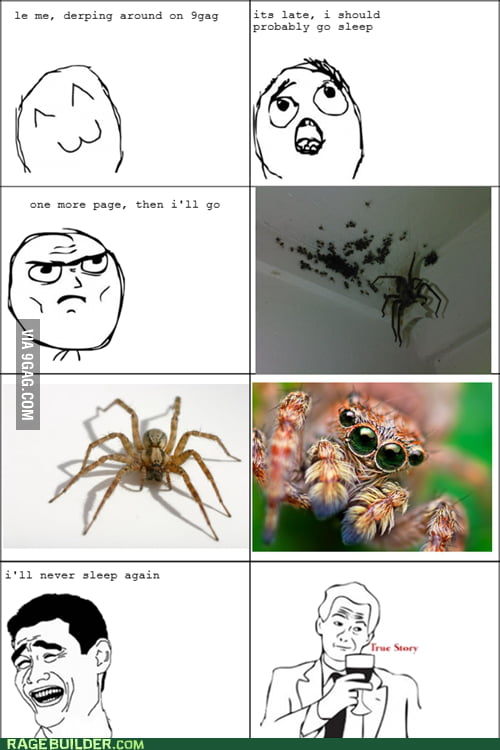 Spiders... - 9GAG