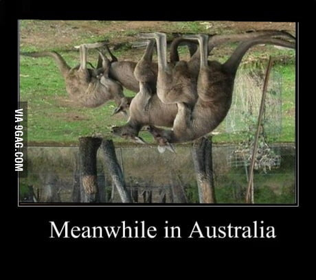 Meanwhile in Australia... [FIXED] - 9GAG