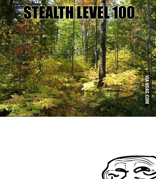 Stealth Level 100 - 9GAG