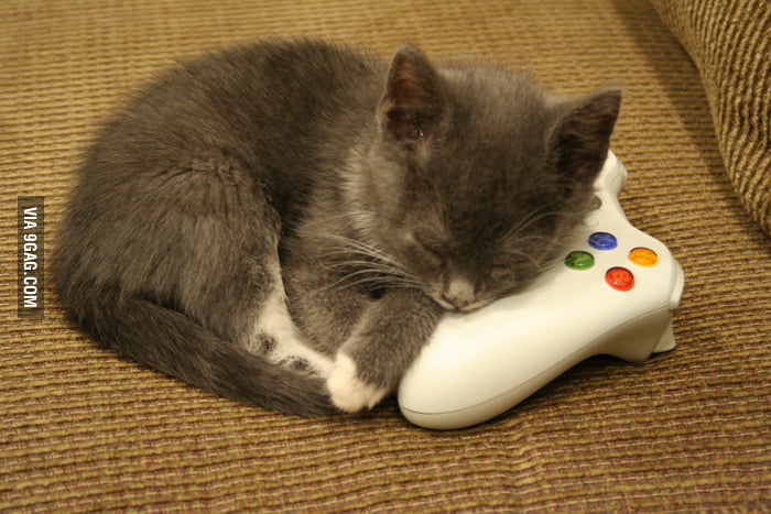 Xbox Cat Nap - 9GAG