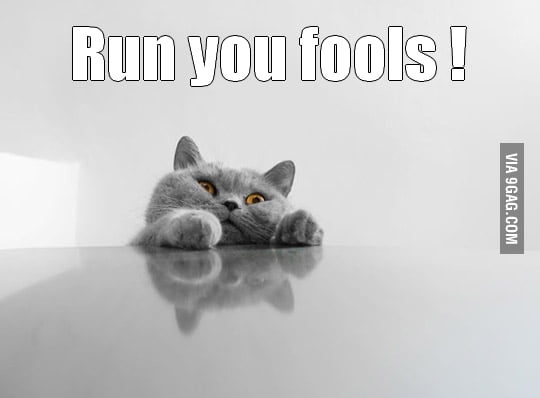 Epic cats face - 9GAG