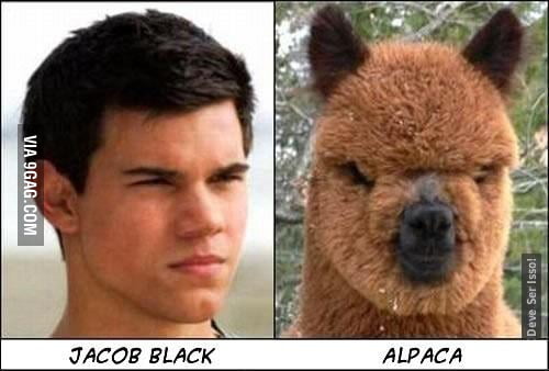 Real Jacob Black - 9GAG