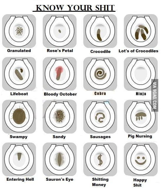 Know Your Shit - 9GAG