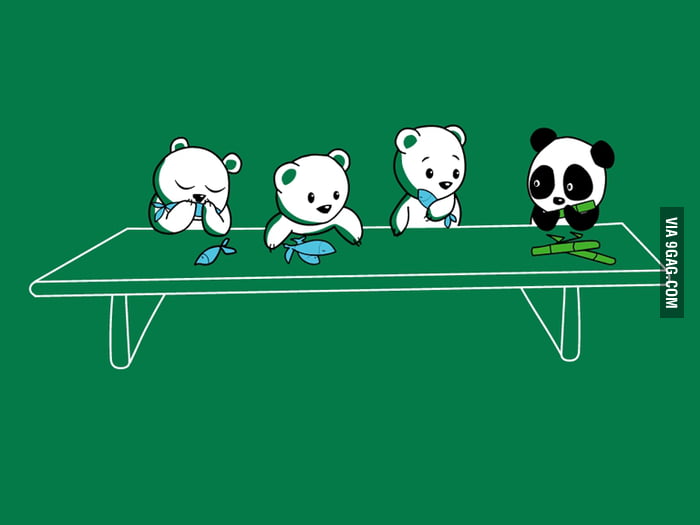 Odd Bear Out - 9GAG