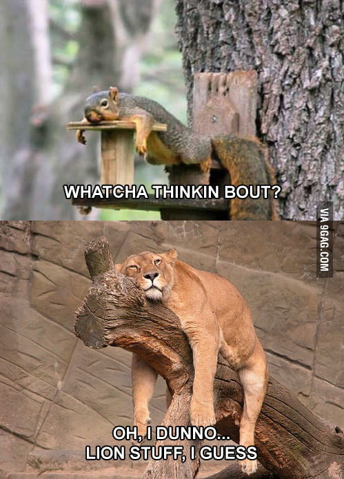 Whatcha thinkin bout? - 9GAG