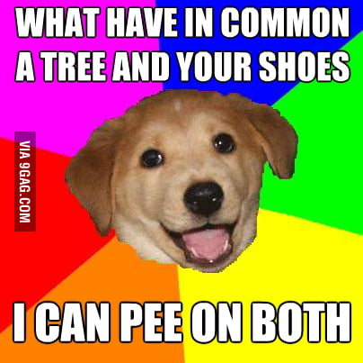 Dog's mentality - True Story - 9GAG