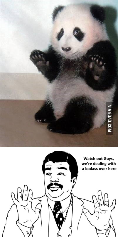 Badass Panda - 9GAG