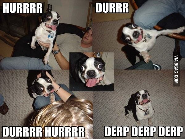 Derp - 9GAG