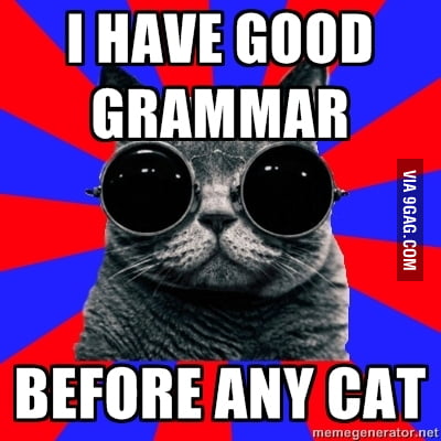 New meme: good grammar cat- hipster grammar cat - 9GAG