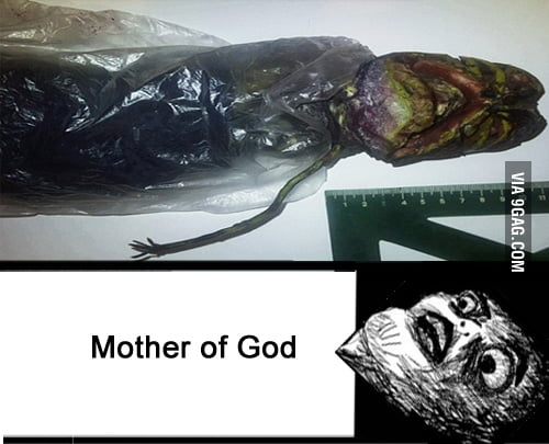Alien in Russia - 2 years in freezer - 9GAG