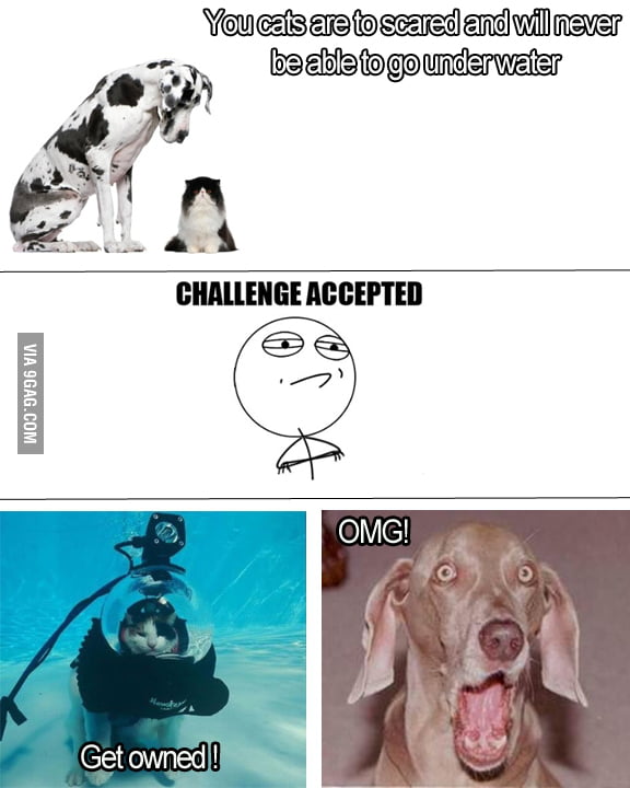 Get owned! - 9GAG