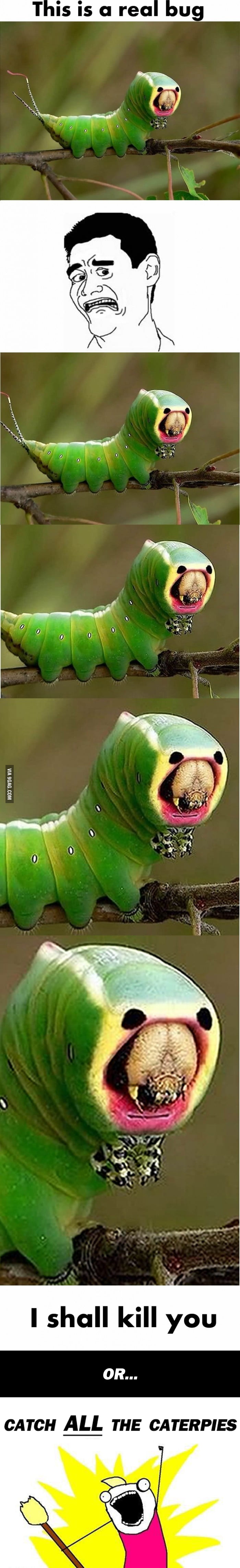 Don't mess with the bug [FIXED] - 9GAG