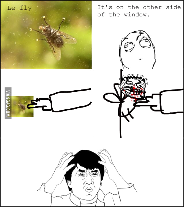 Stupid fly - 9GAG