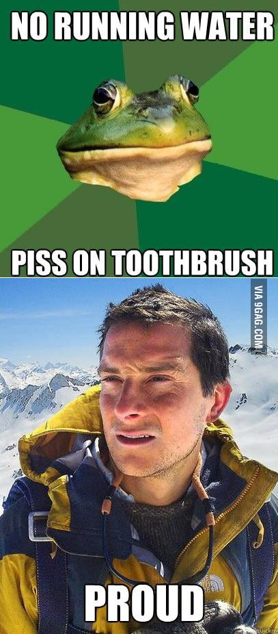 Foul bachelor frog - 9GAG