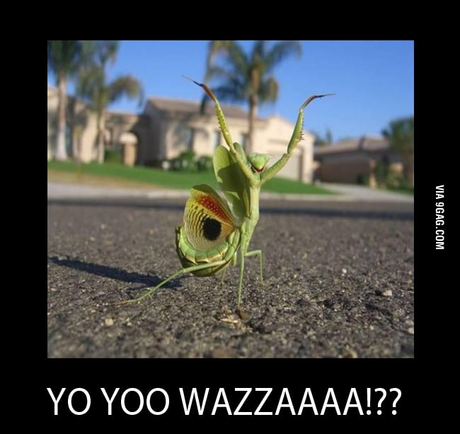 Wazaaa - 9GAG