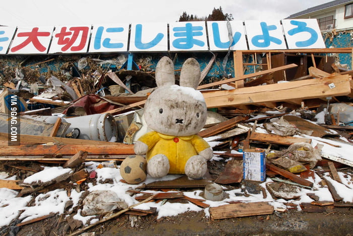 Miffy is sad after earthquake... - 9GAG
