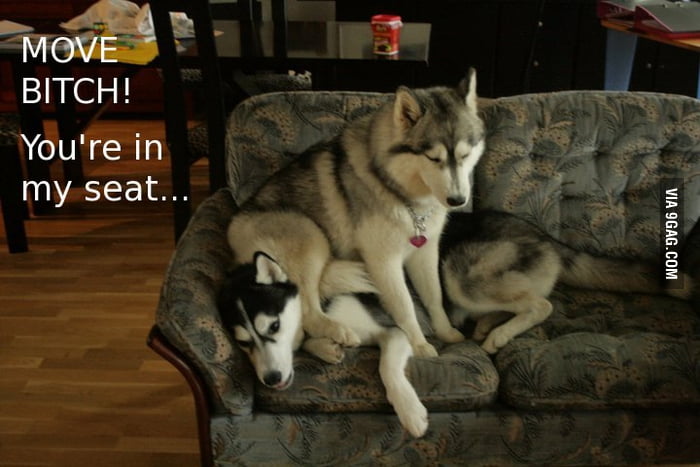 Move B*tch! - 9GAG