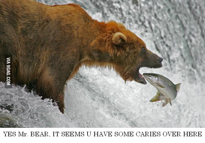 Say ahhhhhhh.... - 9GAG