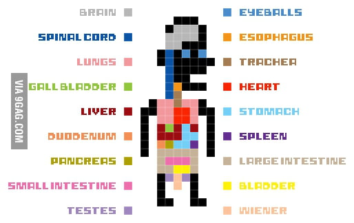 8-bit Human Anatomy - 9GAG