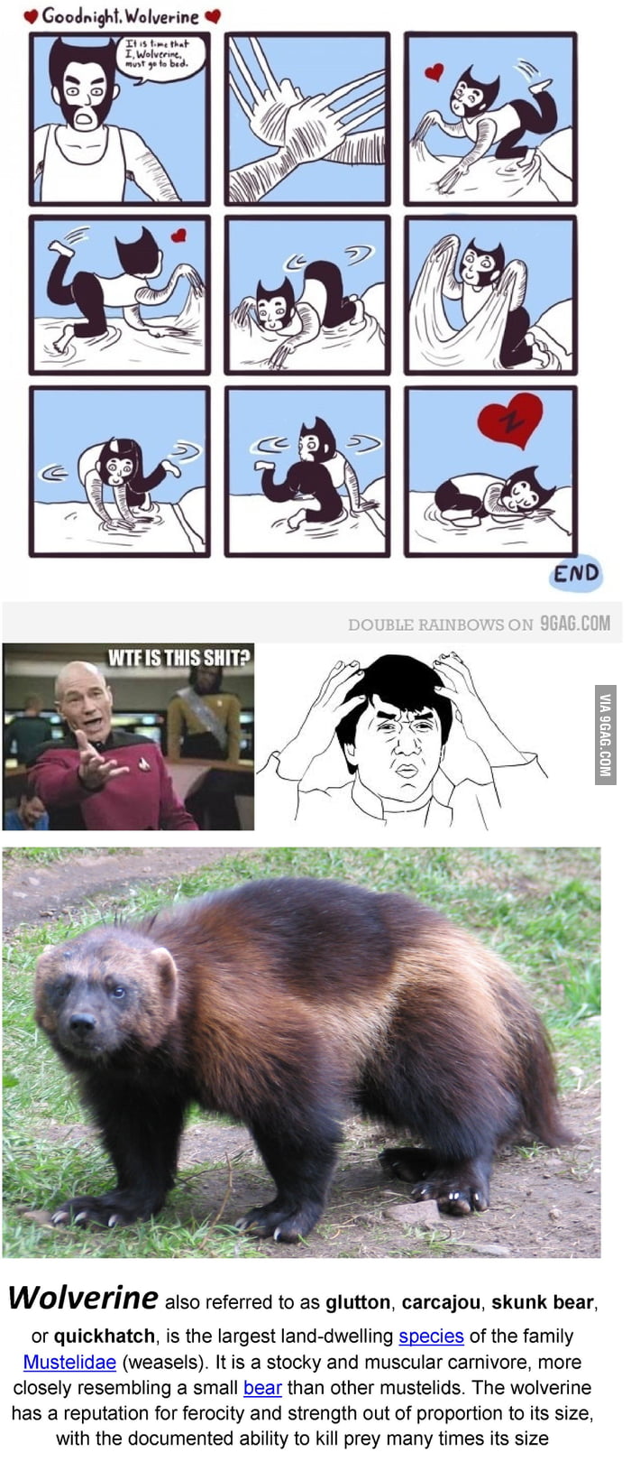 Goodnight Wolverine FIXED - 9GAG
