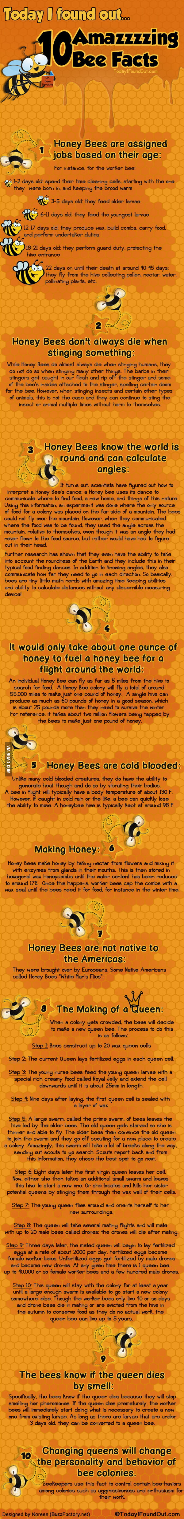 10 Amazzzzing Bee Facts - 9GAG