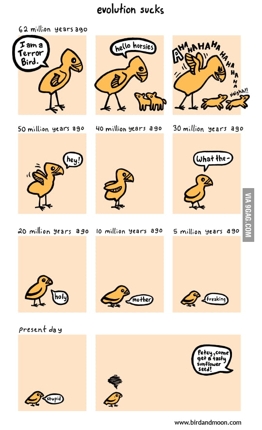 Evolution Sucks - 9GAG