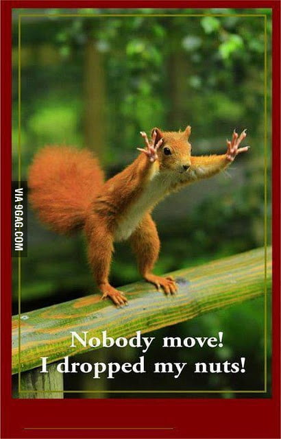Nobody move ! - 9GAG