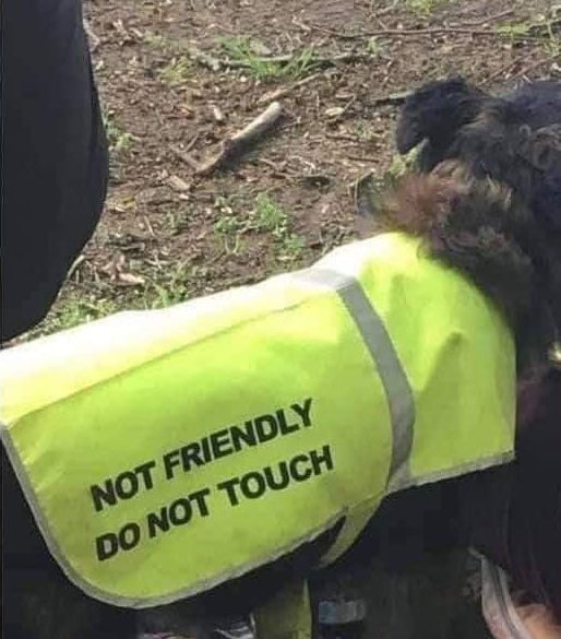 Me in a nutshell - 9GAG