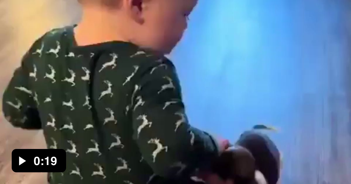 Tiny Human With His New Best Fren - 9GAG