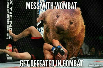 Mortal Wombat - 9GAG