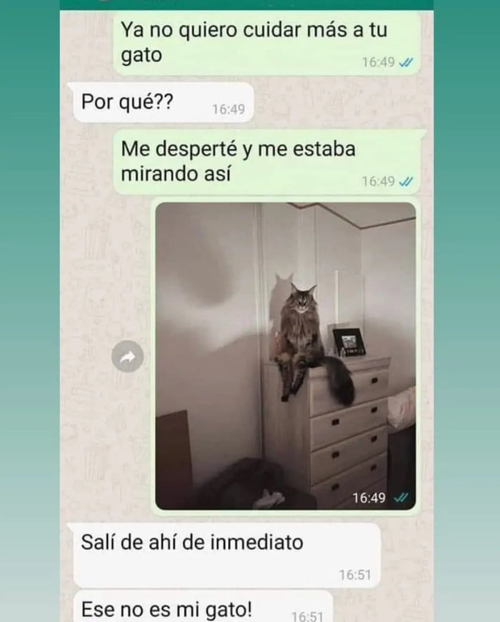 El michi me está viendo - 9GAG