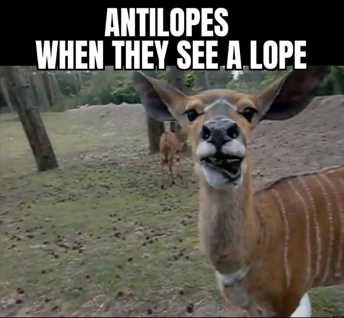 Damn Lopes - 9GAG