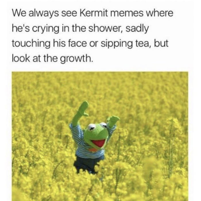 Old but gold Happy Kermit - 9GAG