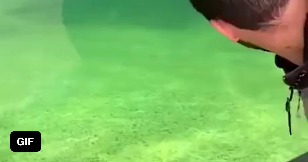 What's your favourite gif? - 9GAG