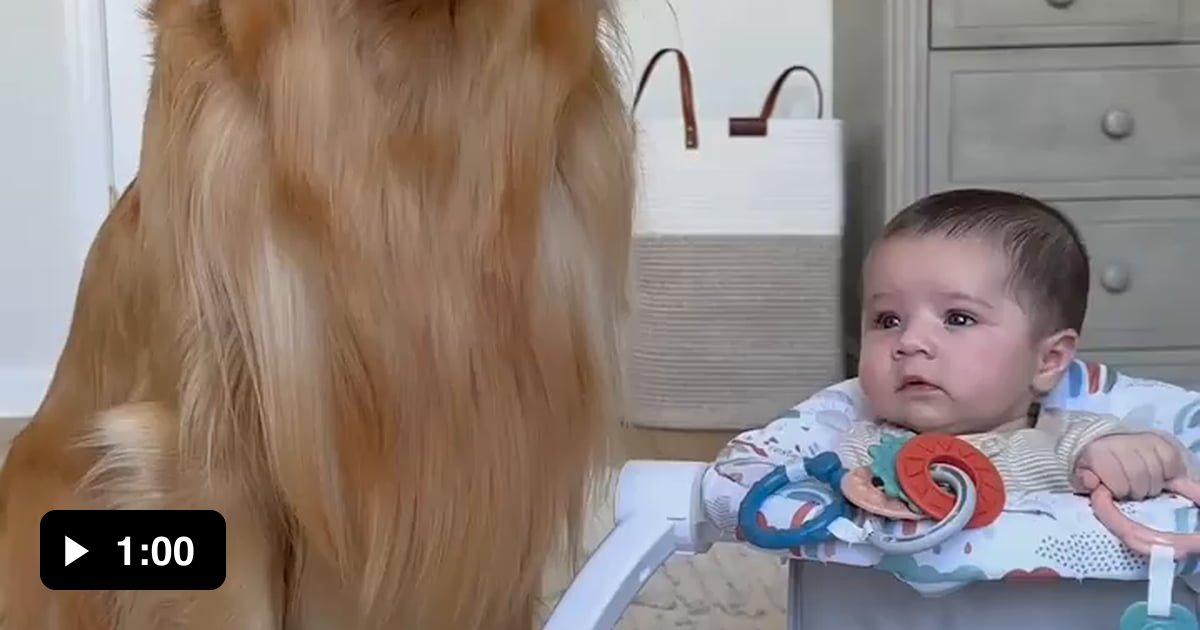 Two peas in a pod - 9GAG