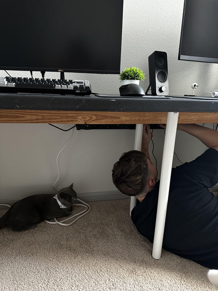 Onyx helping his best with the cable management - 9GAG