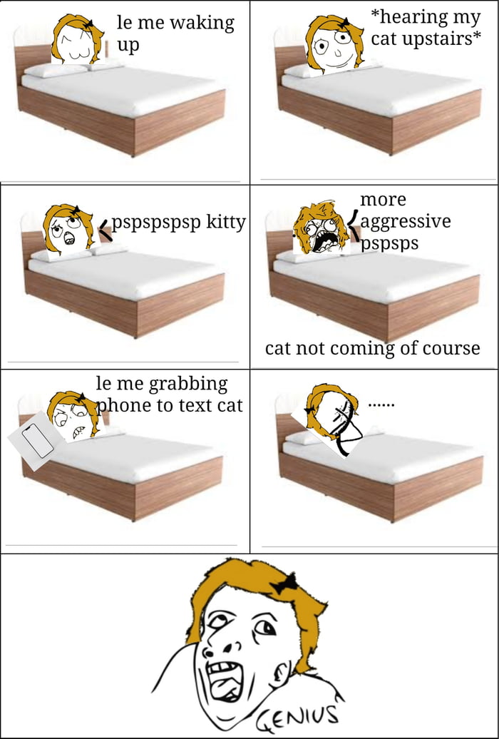 Spoiler alert; had to go grab the cat. - 9GAG