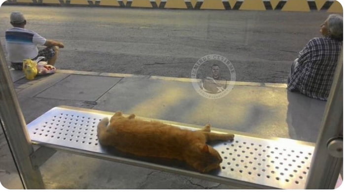 People sitting on the sidewalk at the bus stop to avoid disturbing the ...