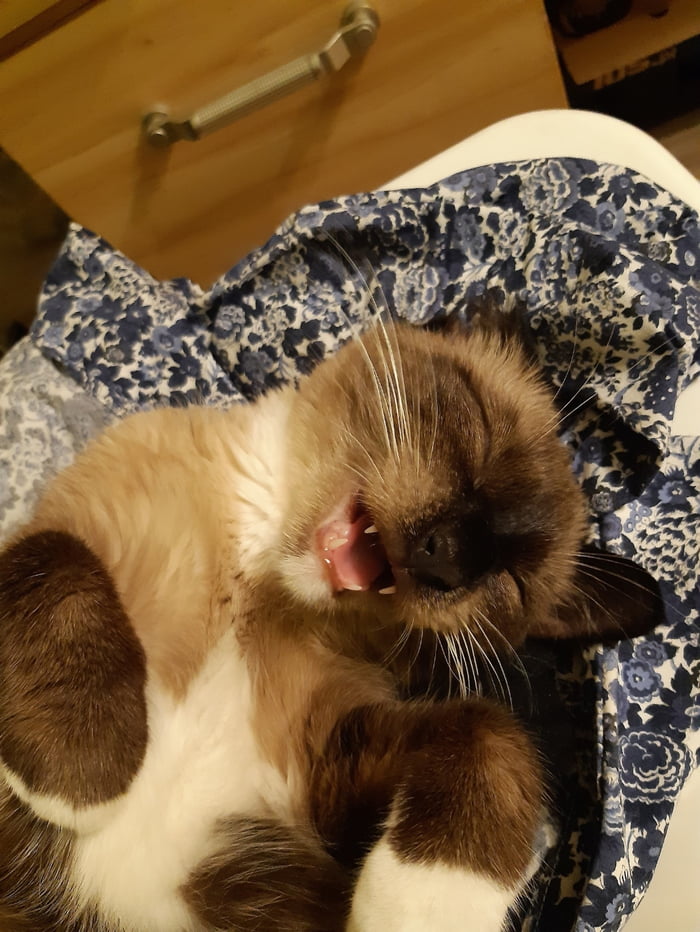 When you remember that it's almost weekend - 9GAG