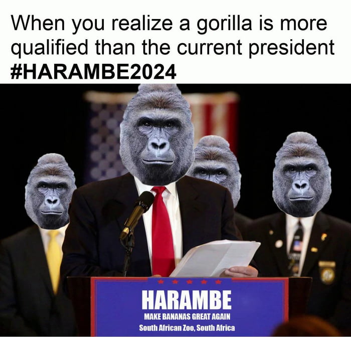 Harambe 2024 - 9GAG
