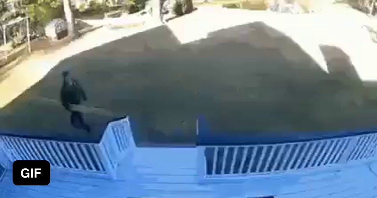 Done worry, I'm a professional - 9GAG